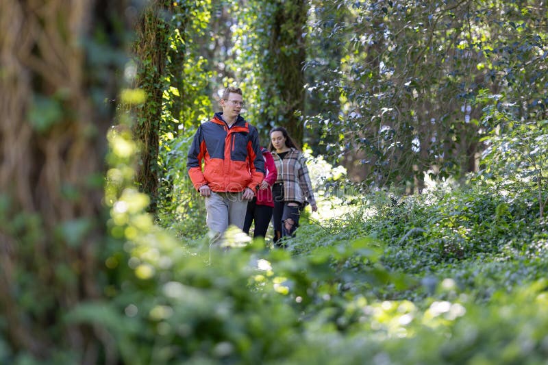 Three Young Friends Walking through a Forest Stock Image - Image of ...