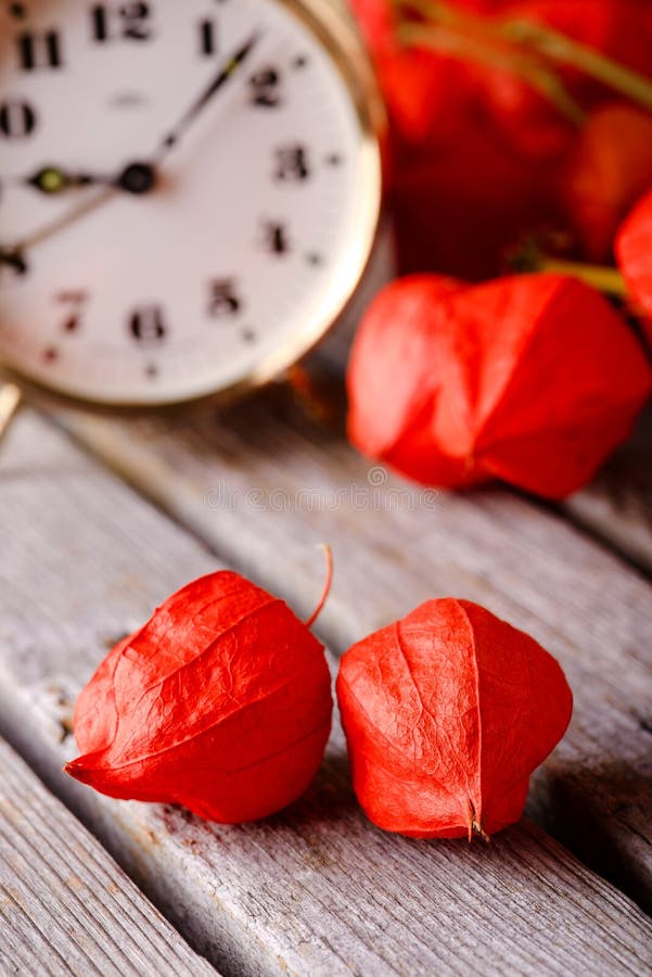 Couple of Gooseberry Blooms on Grey Table Stock Image - Image of mood ...