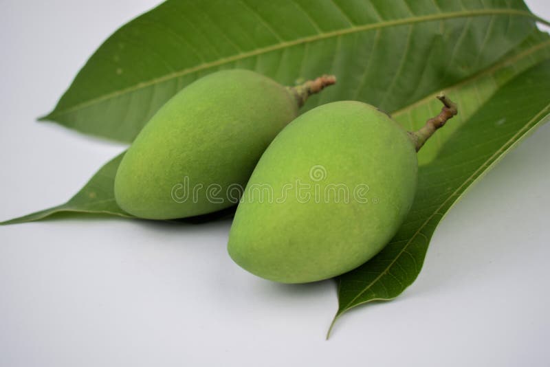 Couple of Green Colored Fresh Mango Placed Over Some Green Colored ...