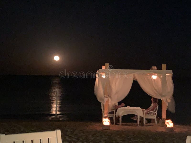 Romantic Moonlight Dinner