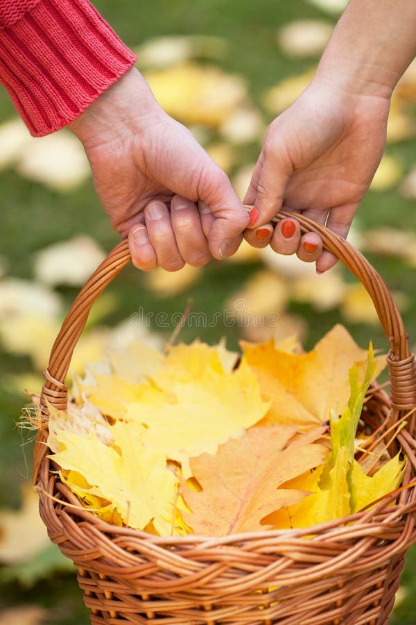 Couple holding a basket stock photo. Image of holding - 43847048