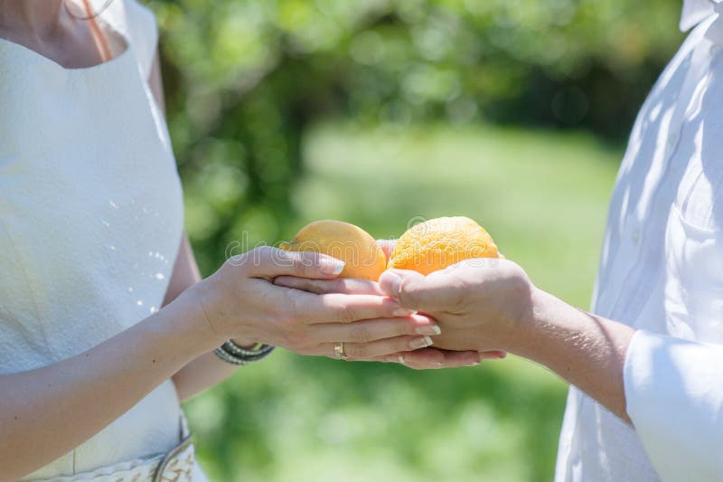 Couple Holding in Hand Two Lemons Stock Photo - Image of relationship ...