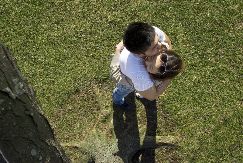 Couple Hugging Under the Tree Stock Image - Image of shoulders, male ...