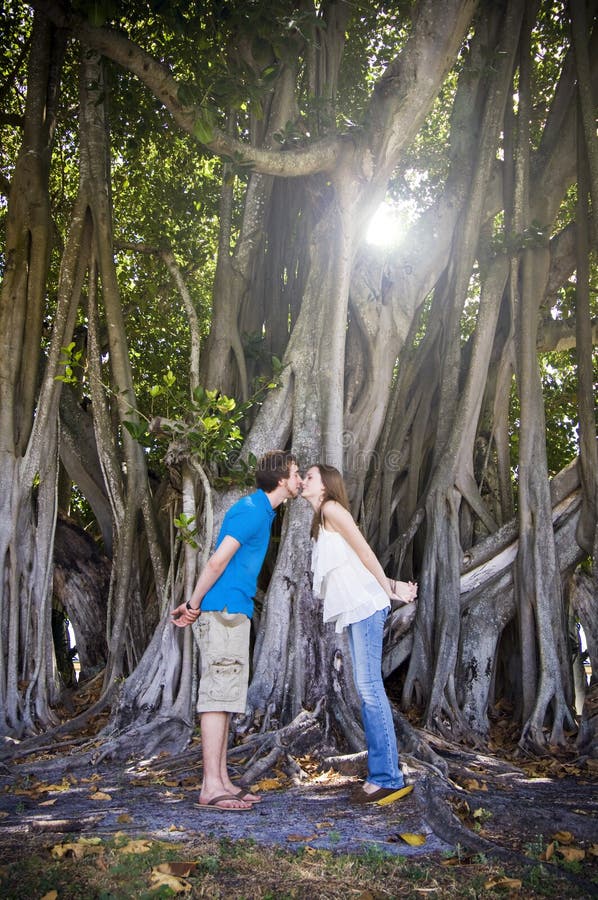 Couple kissing under tree stock photo. Image of engagement - 9490006