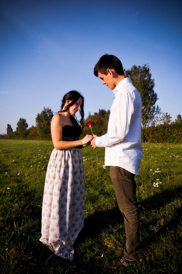 Loving pair on pasture stock photo. Image of herd, happy - 49750928