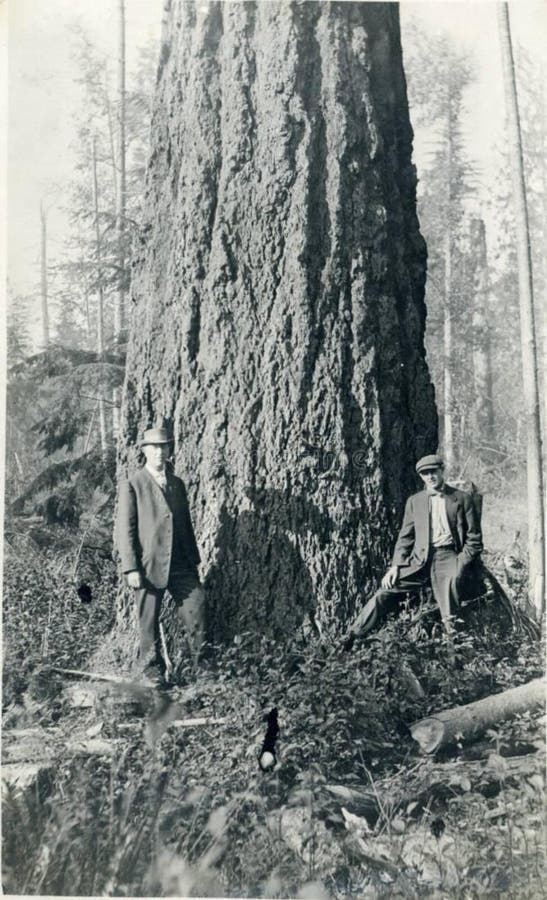 Couple Of Men In Suits Next To Large Tree Picture. Image: 222395025