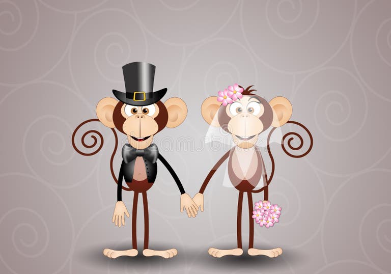 A Couple of Monkeys Just Married Stock Illustration - Illustration of ...