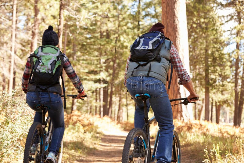 Couple Mountain Biking through Forest, Back View Stock Image - Image of ...