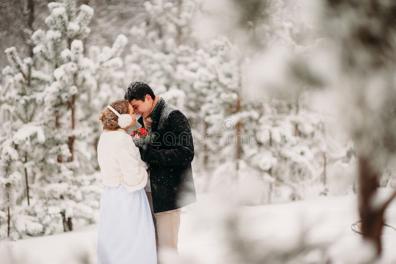Couple in a pine forest stock photo. Image of romance - 67199972