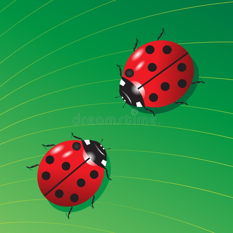 Beetle Animation Stock Illustrations – 142 Beetle Animation Stock ...