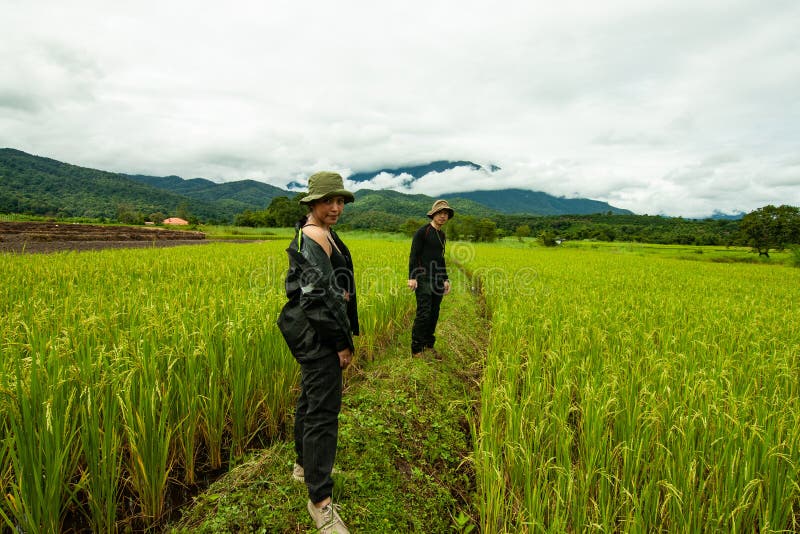 The Couple in the Rice Field Stock Photo - Image of beauty, outdoors ...