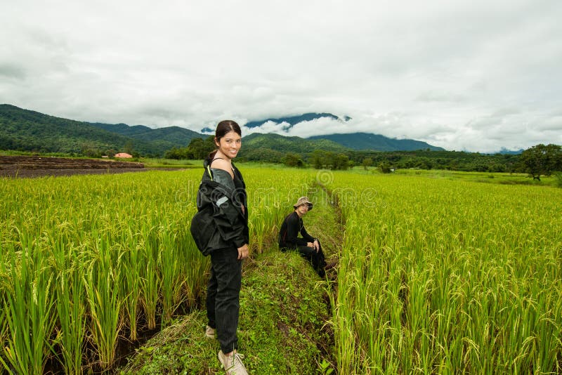 The Couple in the Rice Field Stock Image - Image of cute, person: 210797813