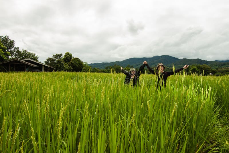 The Couple in the Rice Field Stock Image - Image of adults, rice: 210797829
