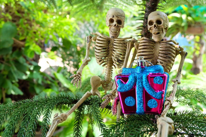Couple of Skeletons Under the Pine Trees Got a Gift Stock Image - Image ...