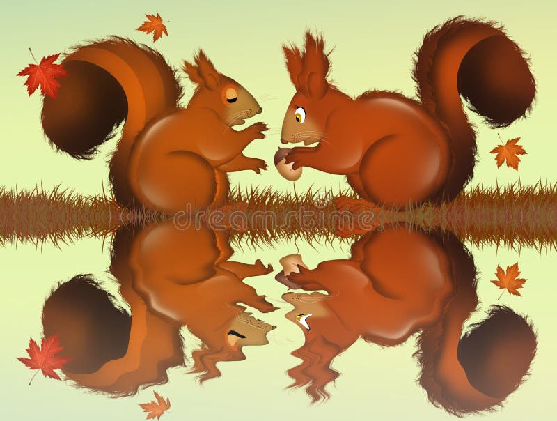 Couple of squirrels stock illustration. Illustration of animal - 143020753