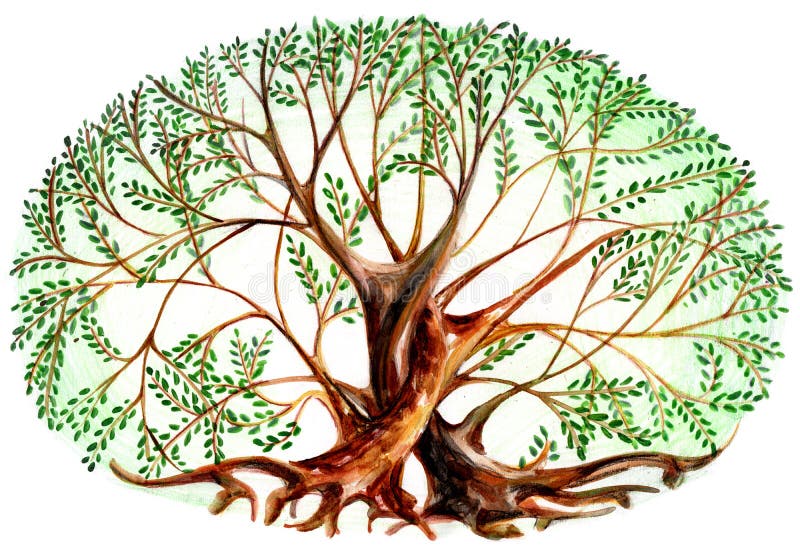 Couple of trees stock illustration. Illustration of nature - 70286368