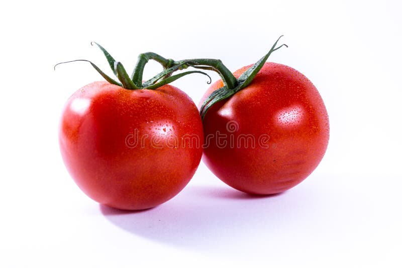 Couple Two Tomatoes Connected Stems Fresh Vegetables Cooking Ing Stock ...