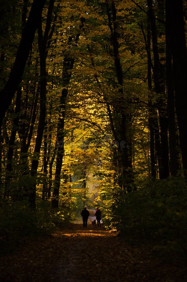 Couple Walking with Dog in Park. Autumn Forest. Forest Path between ...