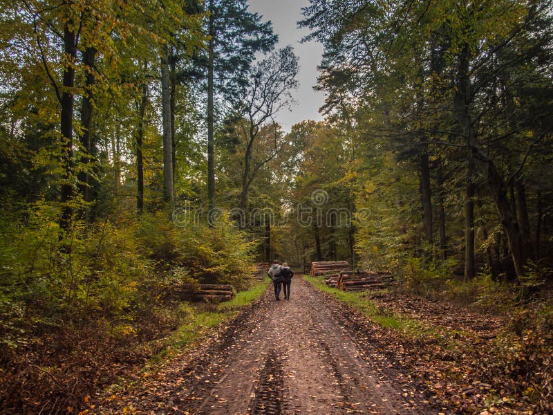 Couple Walking German Forest in Autumn Stock Photo - Image of autumn ...