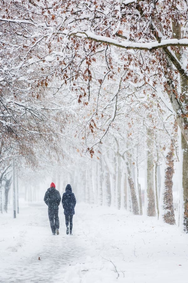 Couple Walking during Heavy Snowstorm Editorial Stock Photo - Image of ...