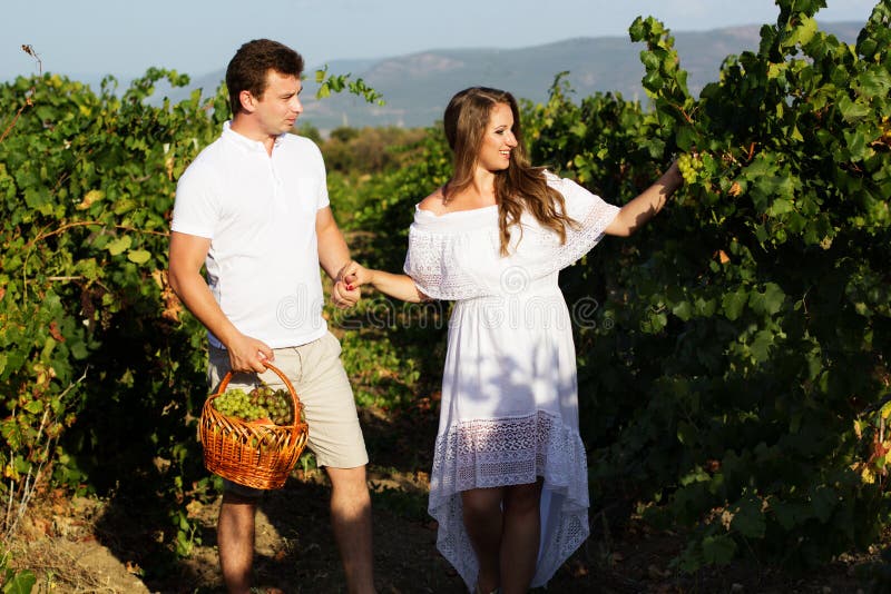 Couple Walking in between Rows of Vines Stock Photo - Image of ...