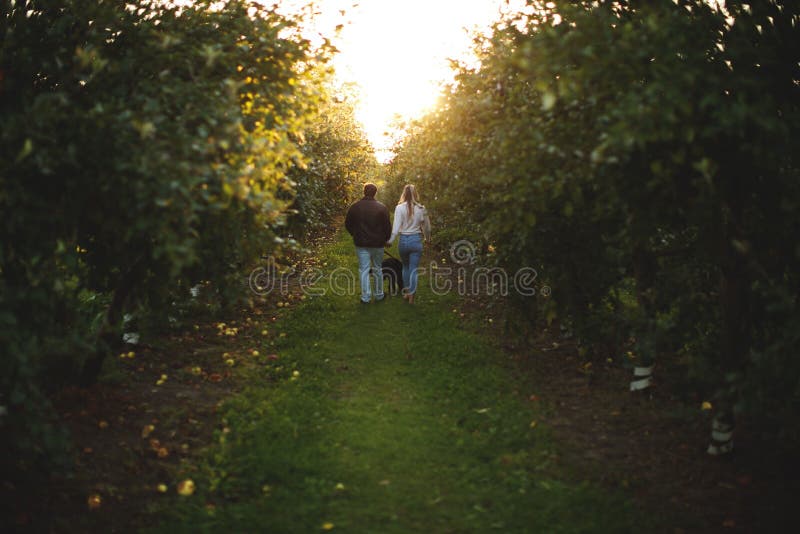 Couple Walking with Their Dog through the Green Path Amid the Tree ...
