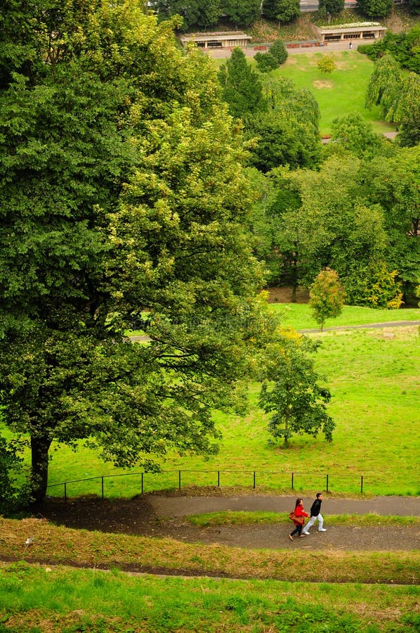 Couple Walking on a Winding Path in a Lush Green Park with Tall Trees ...
