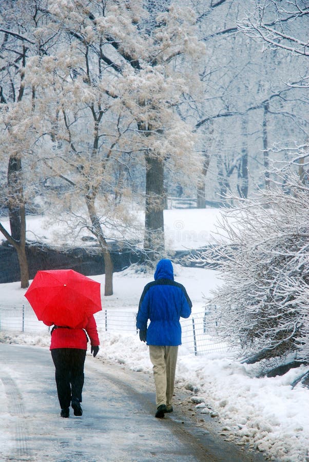 Central Park Stroll during a Strong Snow Storm Editorial Photo - Image ...