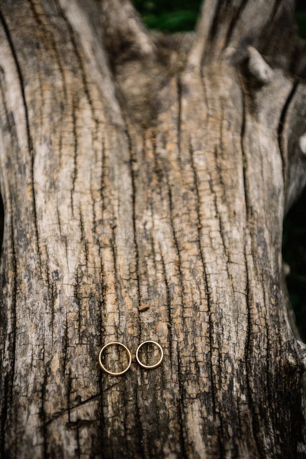 1,690 Wedding Rings Wood Texture Stock Photos - Free & Royalty-Free ...