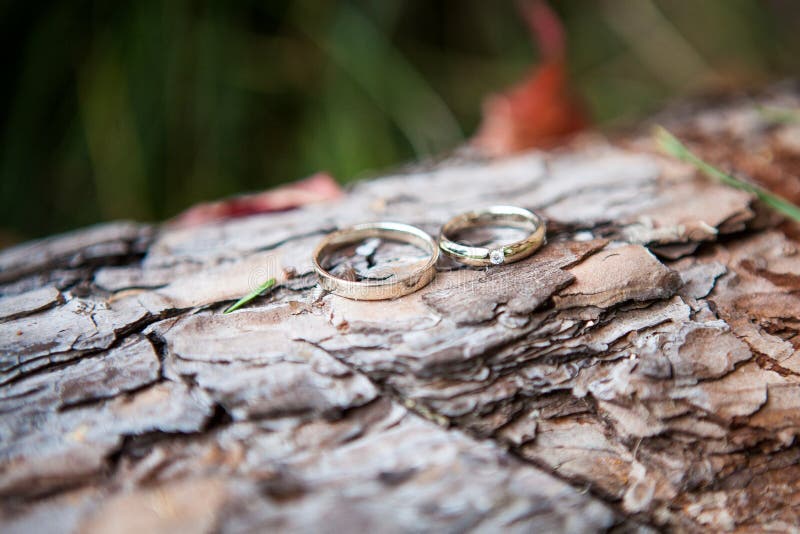 Couple Wedding Rings on Old Wood Texture Stock Photo - Image of ...