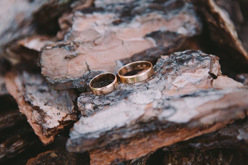 1,690 Wedding Rings Wood Texture Stock Photos - Free & Royalty-Free ...