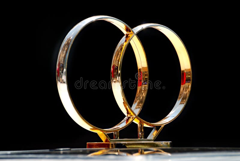 Wedding rings stock photo. Image of luxury, bride, culture - 8333148
