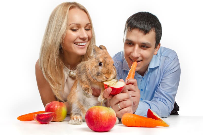 Young Rabbit stock photo. Image of isolated, alert, alertness - 4989302