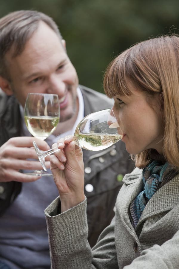 Couples drinking champagne stock photo. Image of valentines - 10843556
