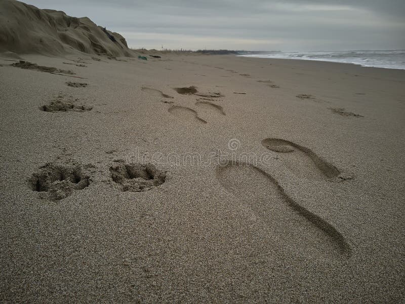 Couples of Footprints on the Beach Stock Image - Image of mark, tracks ...