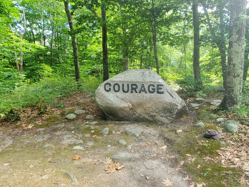 Courage Stone, Dogtown Massachusetts Stock Photo - Image of tree ...
