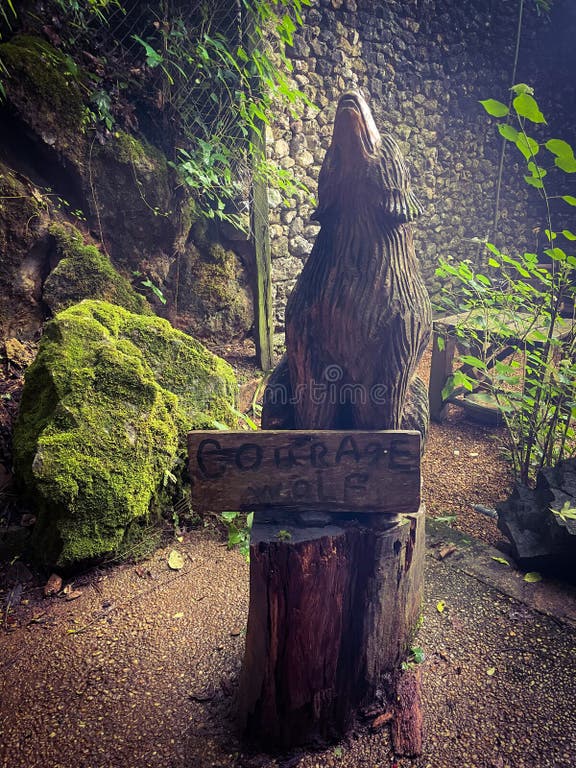 Courage Wolf stock image. Image of georgia, smalltown - 227748485