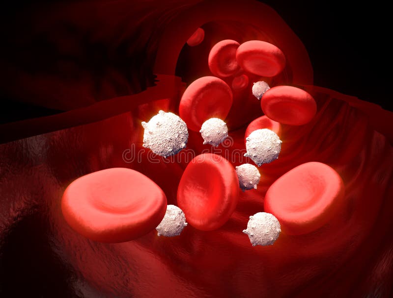 Courant De Sang - Rouge Et Globules Blancs Traversant La Veine - D ...