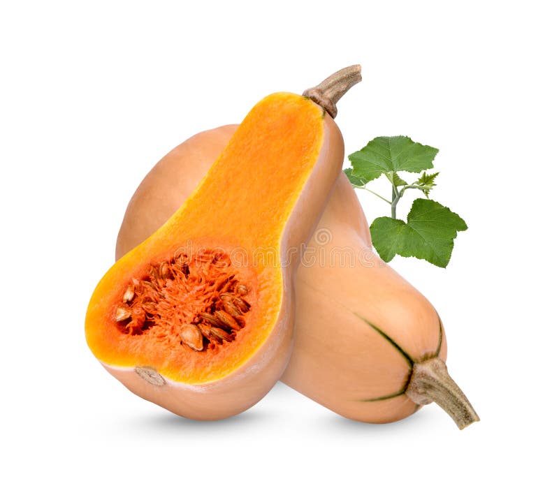 Courge De Butternut Avec Feuilles Sur Fond Blanc Image stock - Image du ...