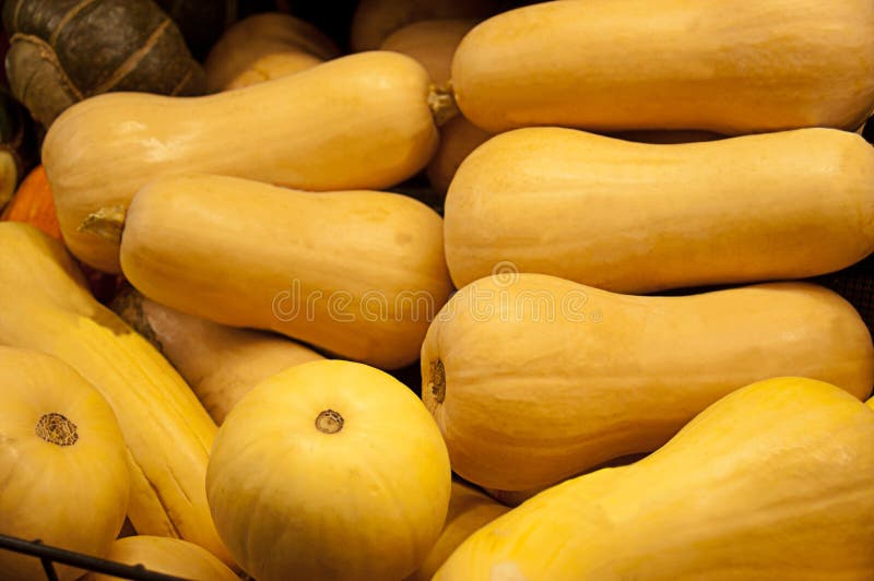 Courge De Butternut Jaune Lumineuse Photo stock - Image du agriculture ...