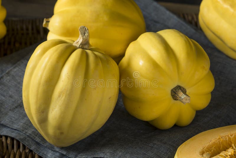 Courge De Gland Jaune Blanche Organique Crue Photo stock - Image du ...