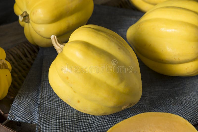 Courge De Gland Jaune Blanche Organique Crue Photo stock - Image du ...