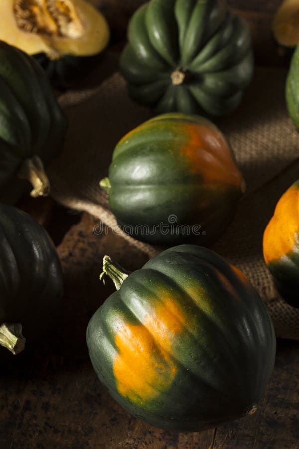 Courge De Gland Verte Organique Crue Photo stock - Image du courge ...