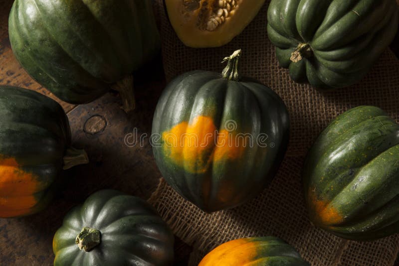 Courge De Gland Verte Organique Crue Photo stock - Image du frais ...