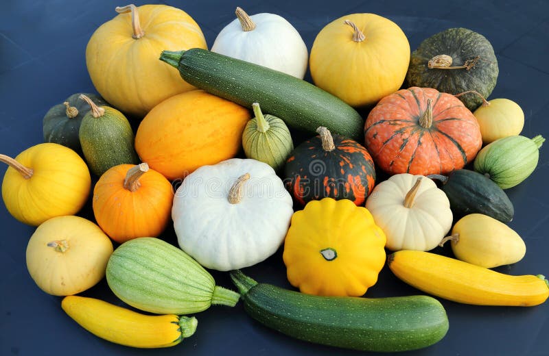 Courge Et Potirons Photos Stock - Téléchargez 16,388 Photos libres de ...