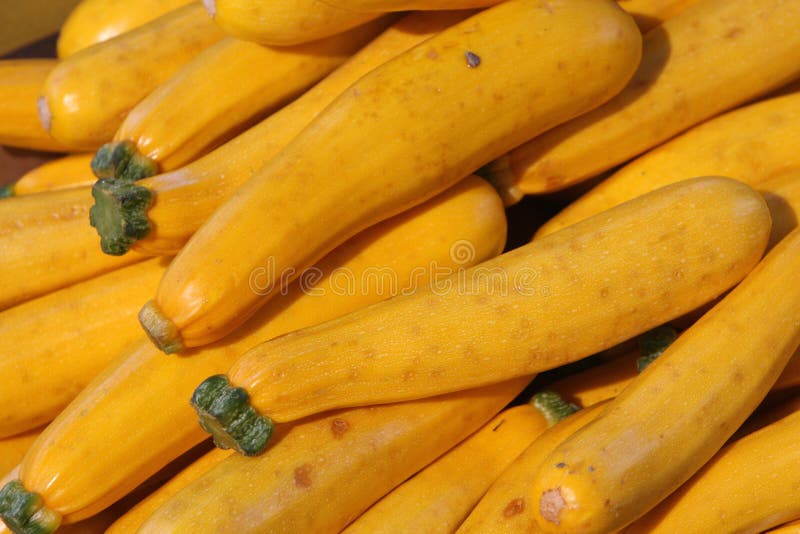 Courge Jaune De Courgette D'isolement Sur Le Fond Blanc Photo stock ...