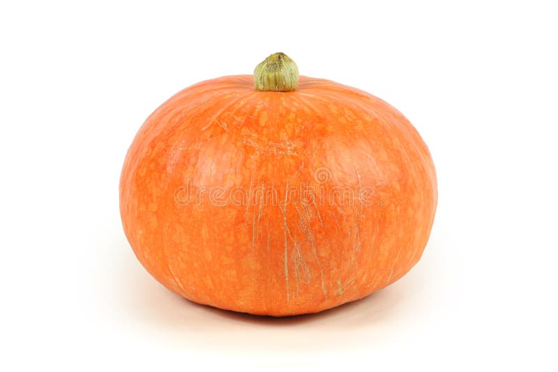 COURGE ORANGE photo stock. Image du nutritif, nourriture - 17936024