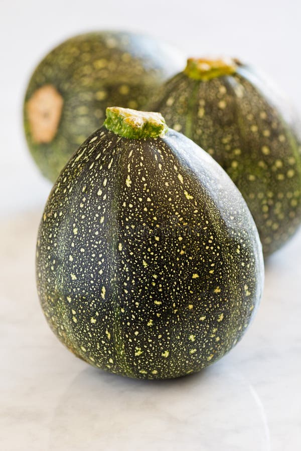 Courge Ronde De Courgette Ou De Courgette Image stock - Image du forme ...