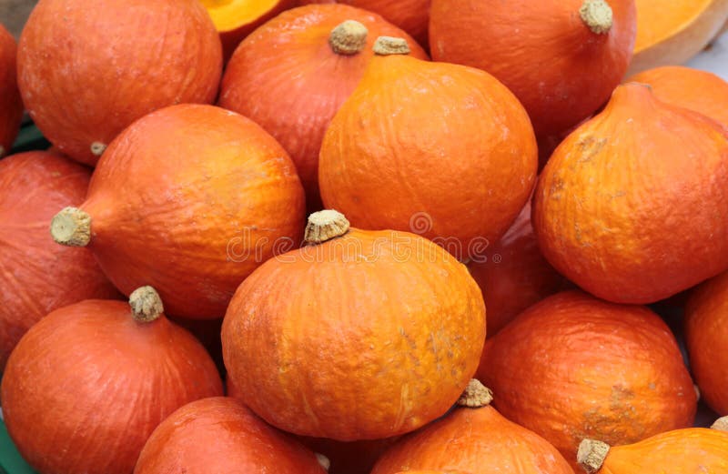 Courge rouge de kuri image stock. Image du fruits, diététique - 46104015
