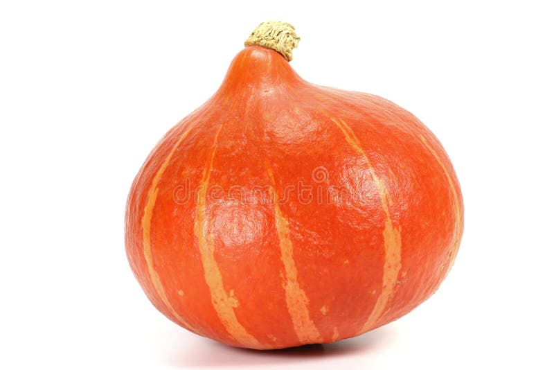Courge Rouge De Kuri, Courge Japonaise, Maximum De Cucurbita Photo ...